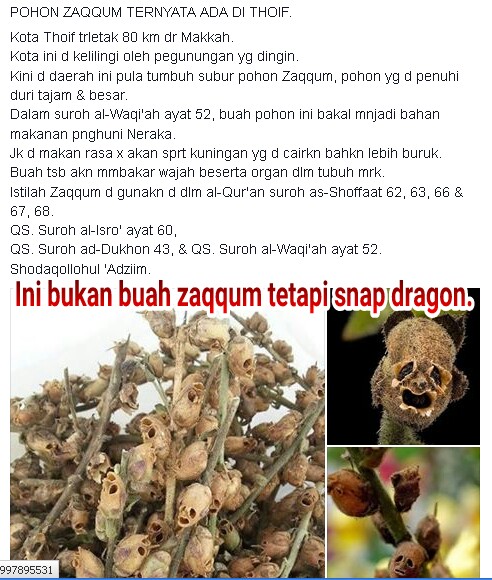 Surah 044: Dukhan – Celik Tafsir